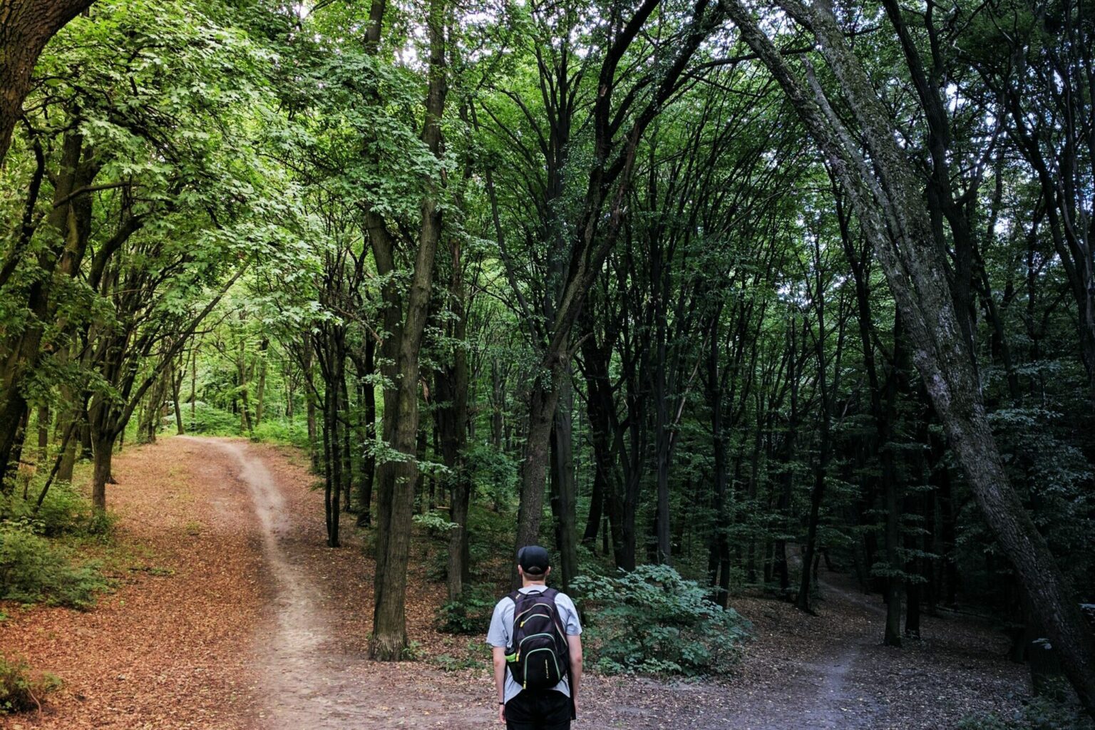 Comparing Azure's Vulnerability Scanning Solutions | Blog | Quisitive